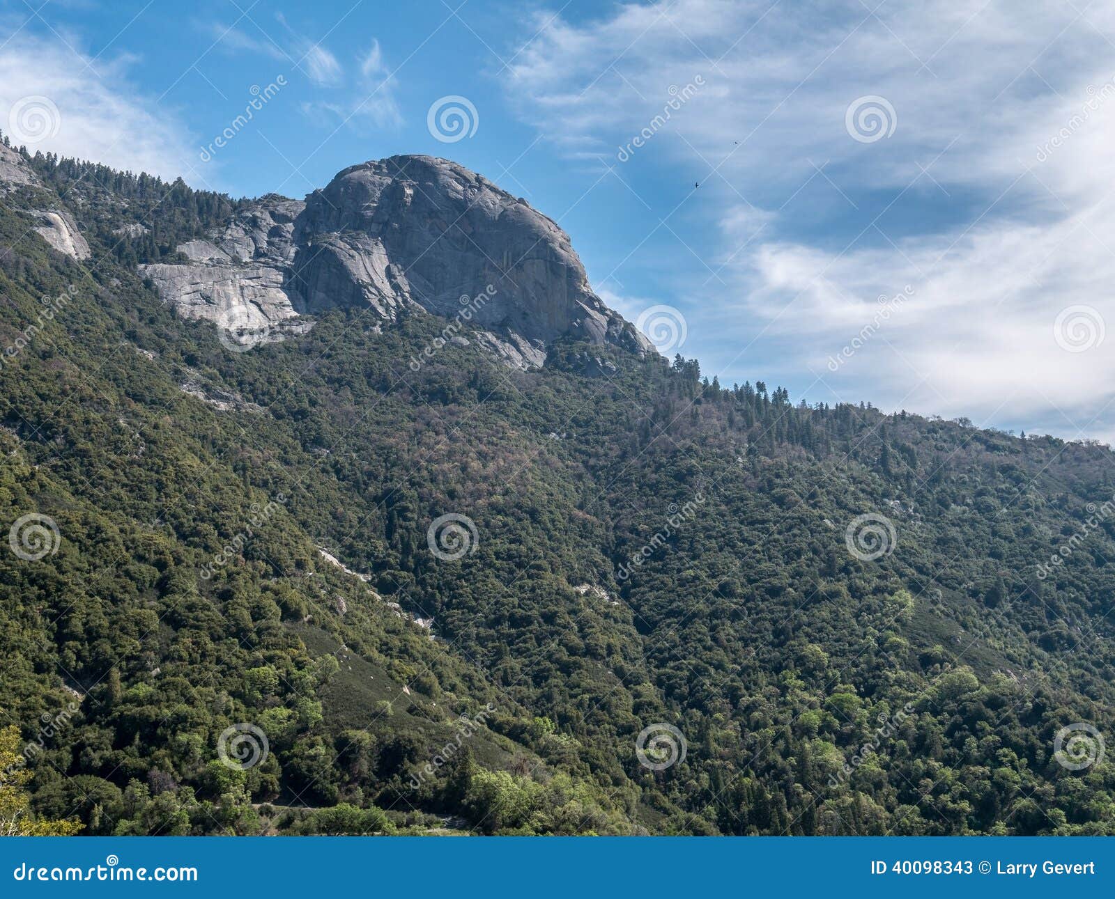 Moro Rock stock image. Image of cone, canyon, park, environmental ...