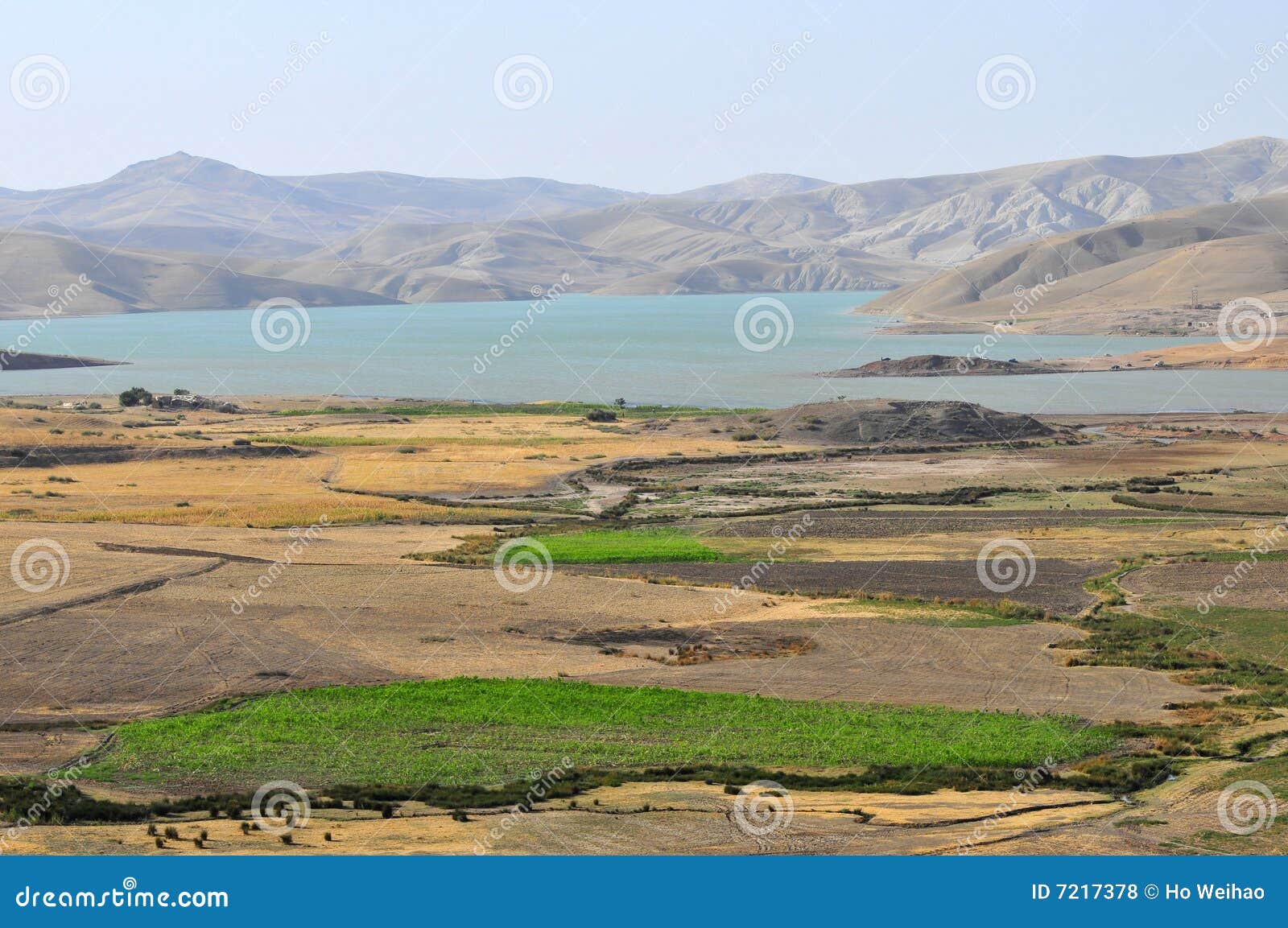 Moroccan Agriculture stock photo. Image of plain, atlas - 7217378