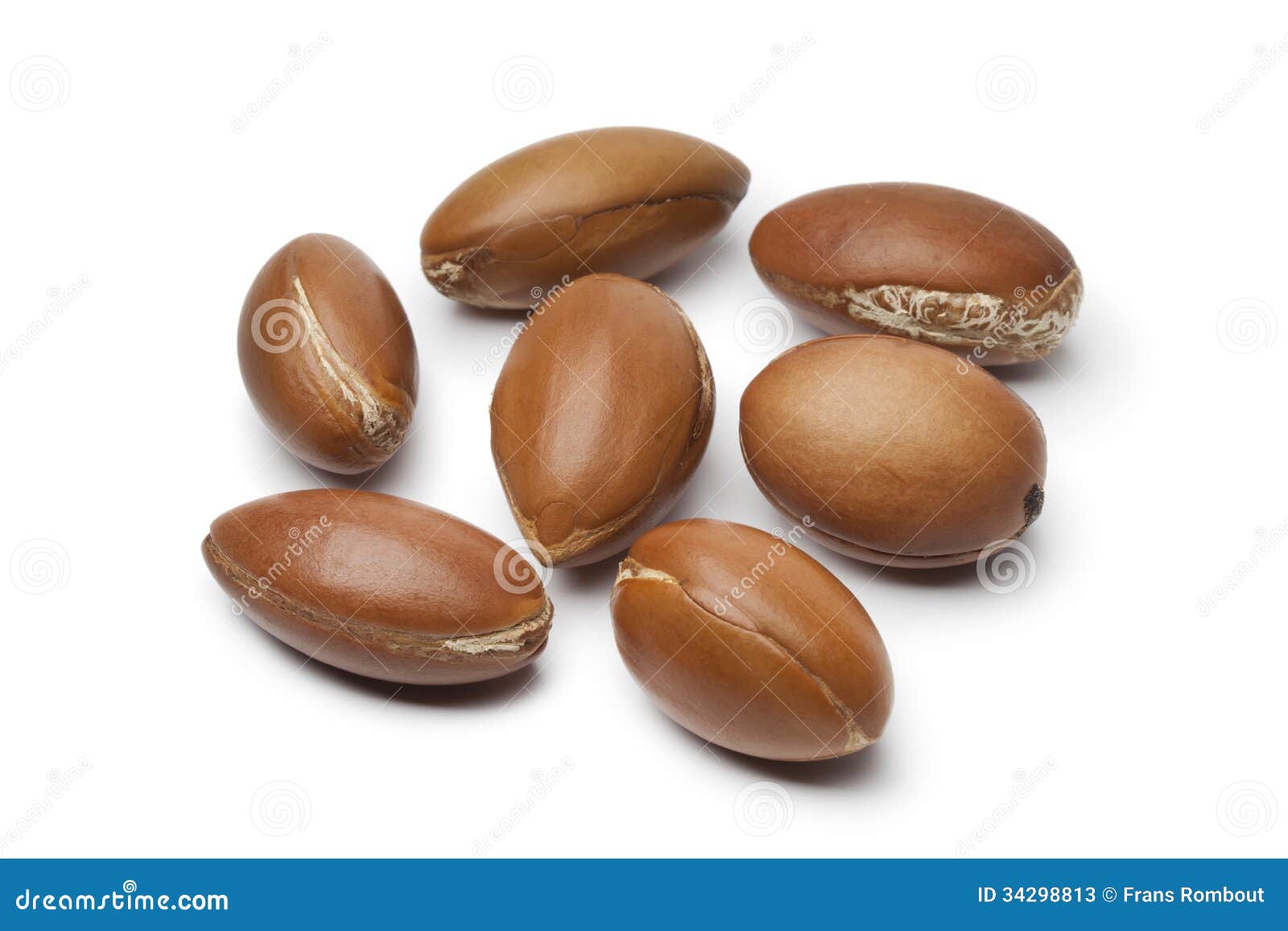 Moroccan Argan nuts stock image. Image of morocco, africa - 34298813