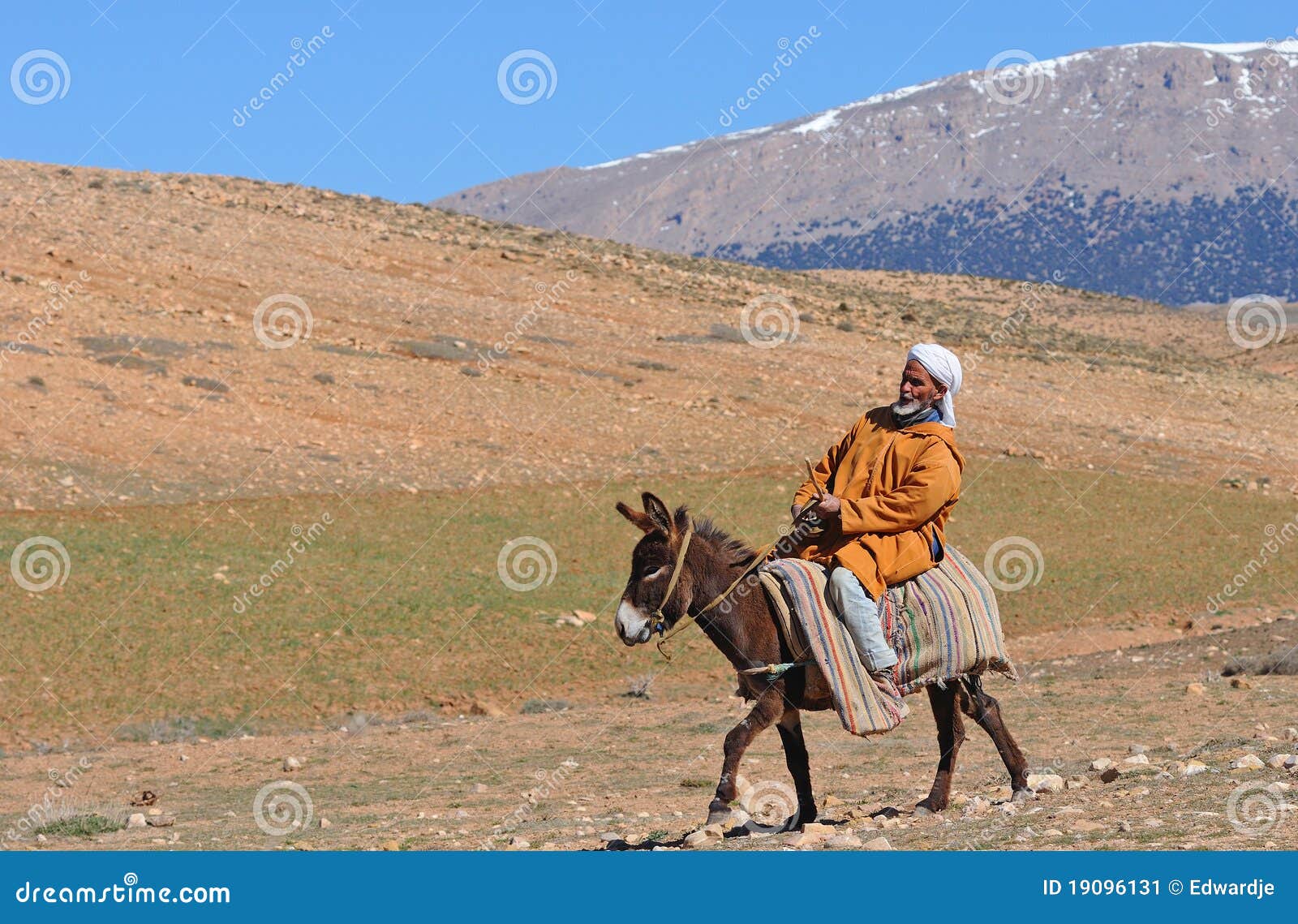 Moroccan Berber 6 editorial photo. Image of farming, animals - 19096131
