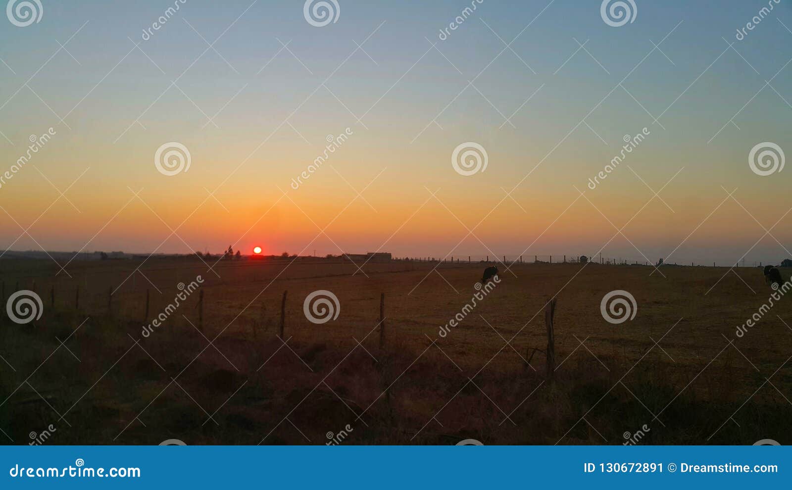 Arabic Farm stock image. Image of nature, blue, sunset - 130672891