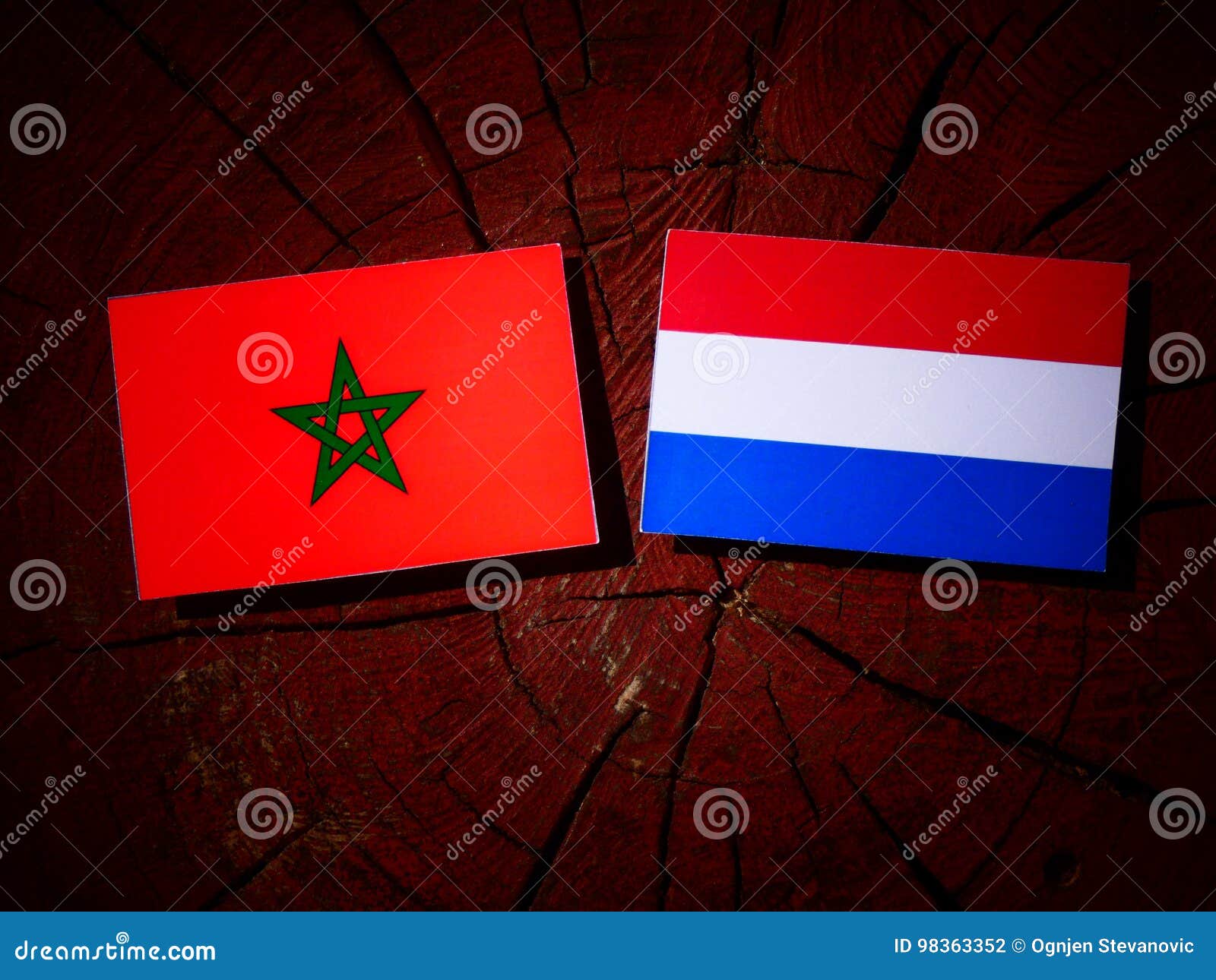 Moroccan Flag with Dutch Flag on a Tree Stump Isolated Stock Photo ...