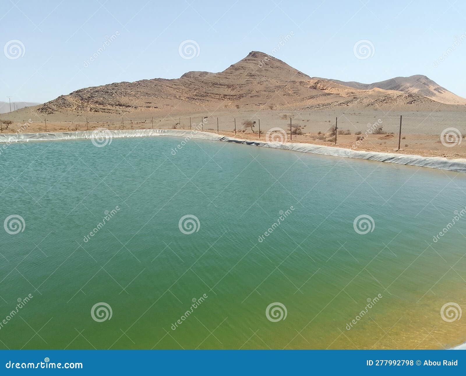 Moroccan Green in Desert of Morocco Stock Photo - Image of sahara ...