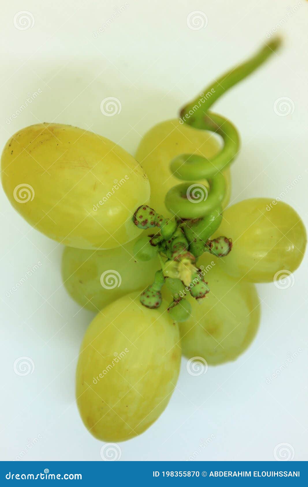 Moroccan Green Grapes In Light Box Royalty-Free Stock Image ...