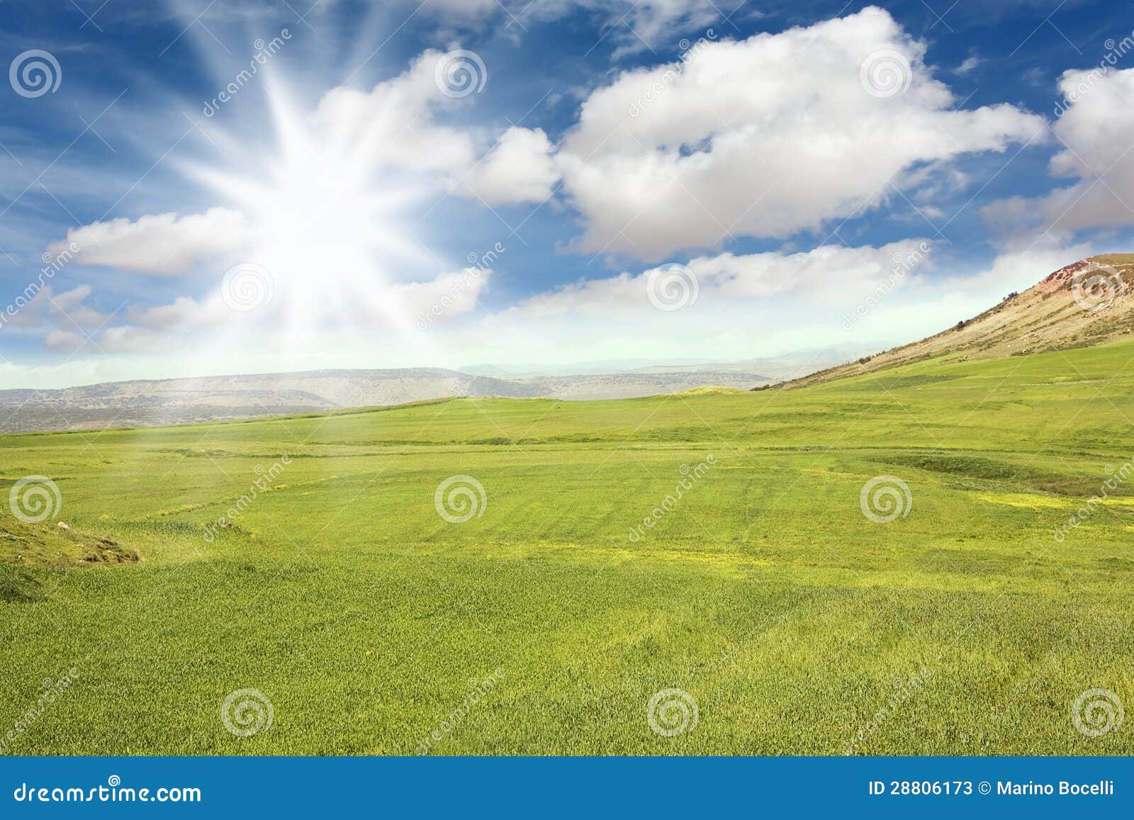 Moroccan Green Grapes In Light Box Royalty-Free Stock Photo ...