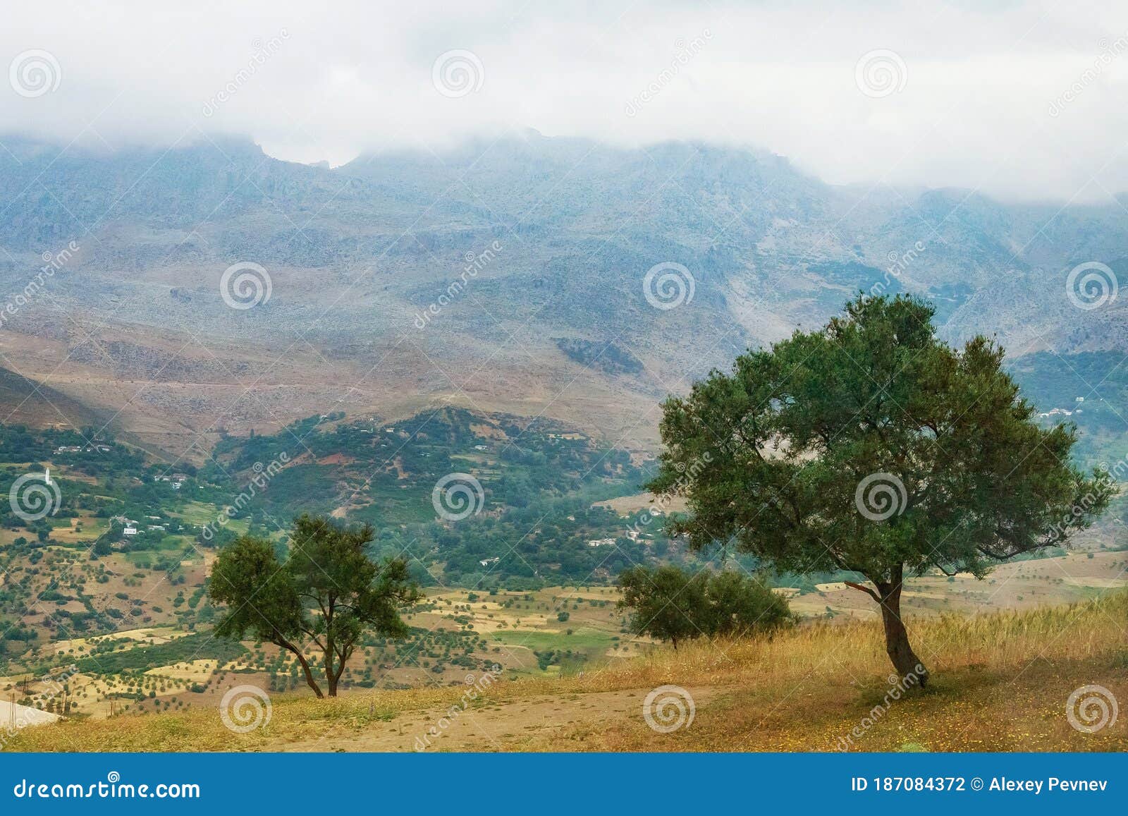Moroccan Landscape with Mountains and Green Trees Stock Photo - Image ...