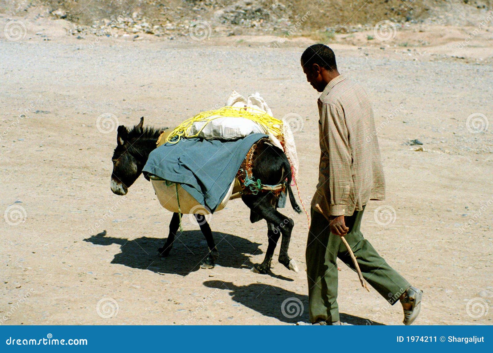 Moroccan life, #1 stock image. Image of docilely, difficulty - 1974211