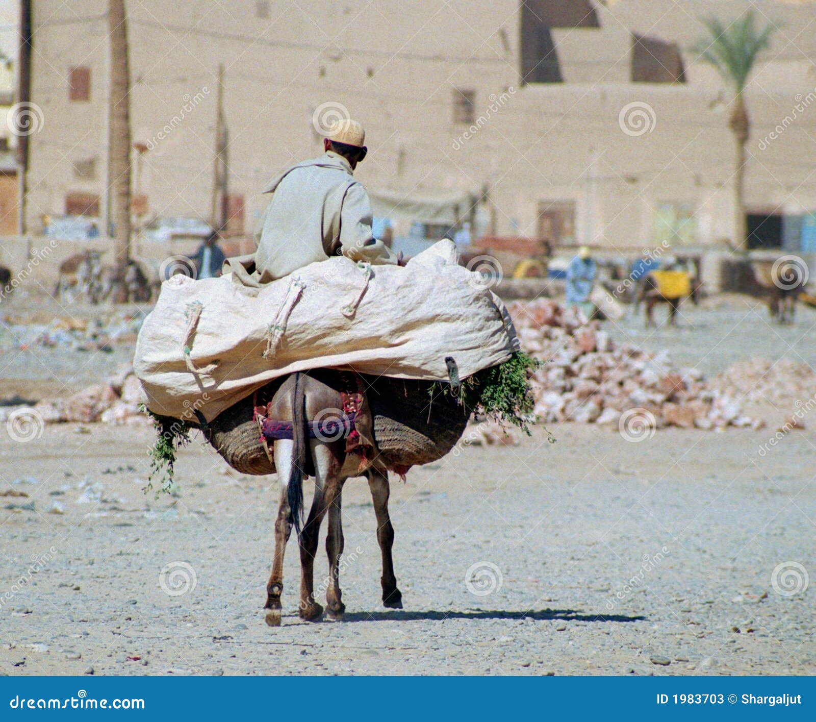 Moroccan life, #2 stock image. Image of cartage, accompanying - 1983703