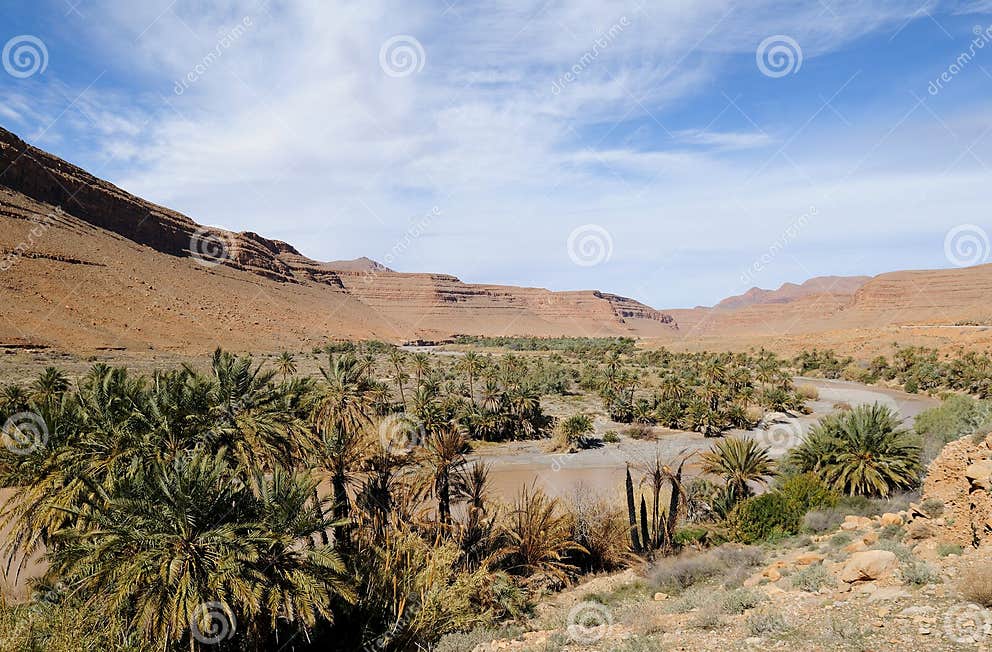 Moroccan Oasis stock photo. Image of africa, view, morocco - 13419484