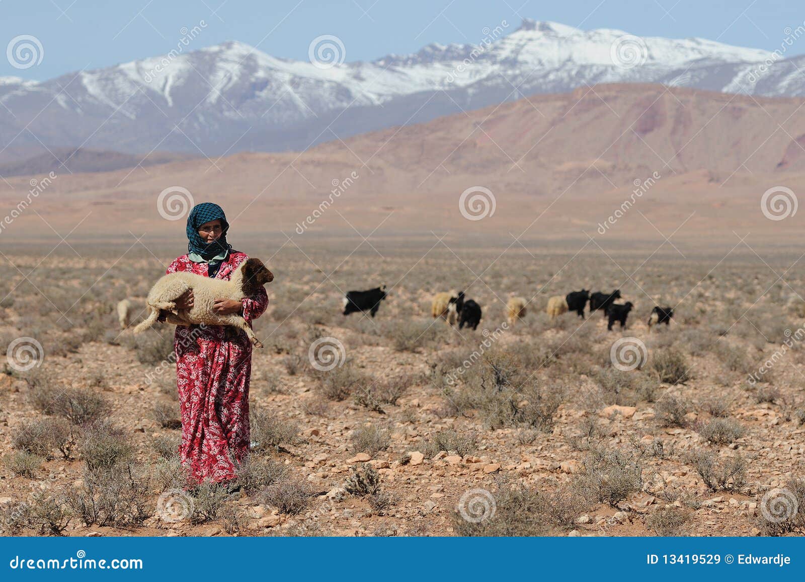 Moroccan Sheepherder editorial stock image. Image of culture - 13419529