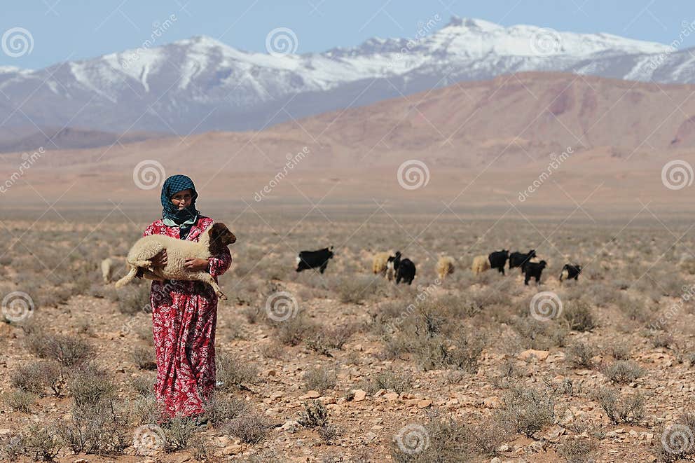 Moroccan Sheepherder editorial stock image. Image of culture - 13419529