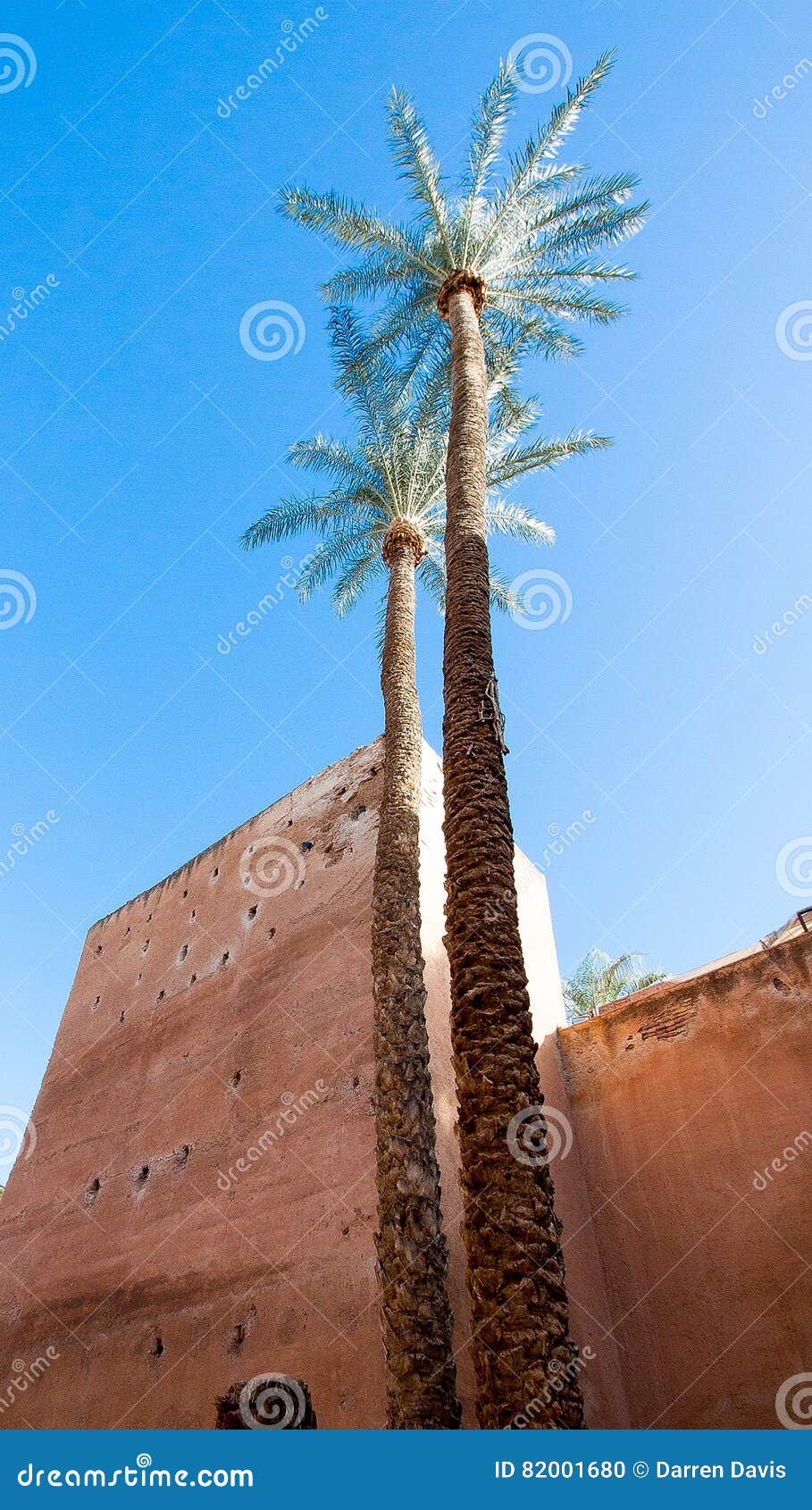 Moroccan Stone Building with Palm Trees Stock Photo - Image of religion ...