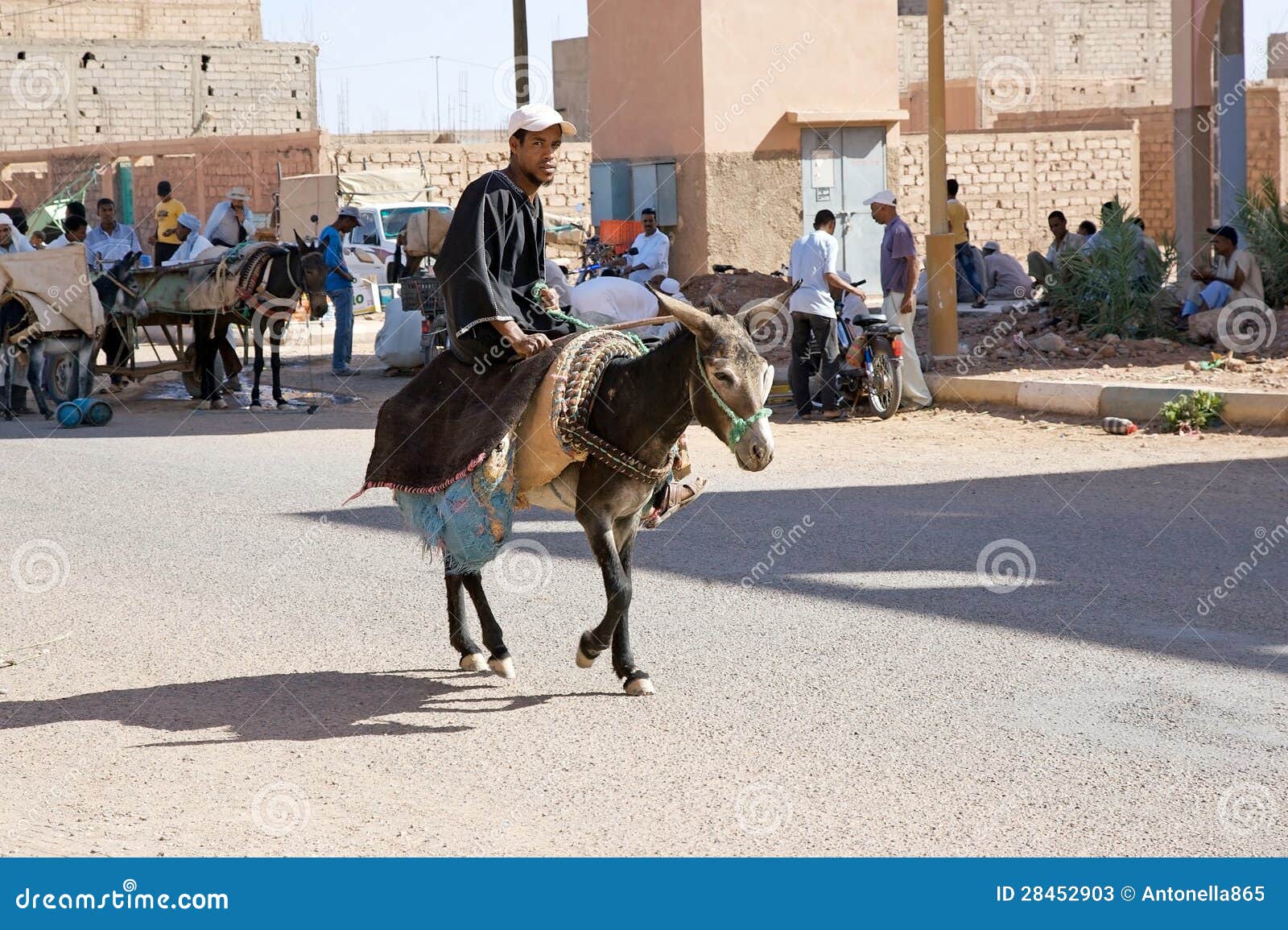 Morocco, Berber Man and Donkey Editorial Stock Photo - Image of ...