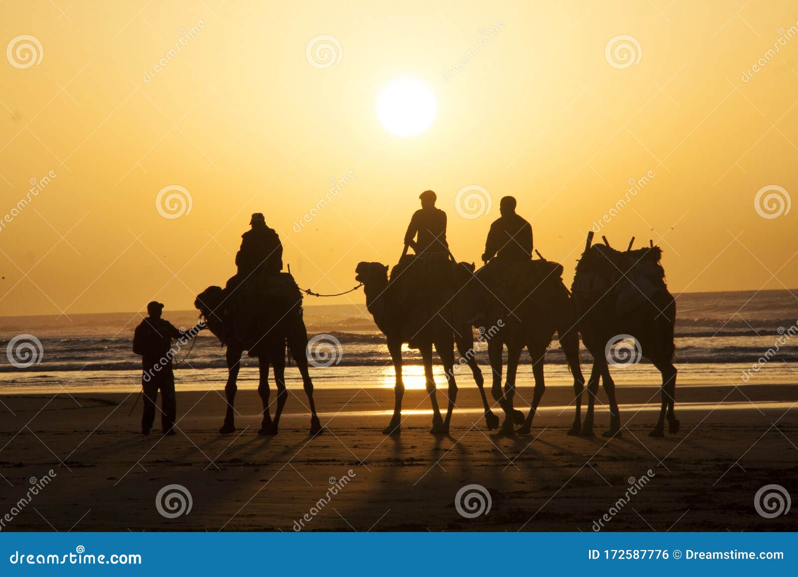 Riding People on Camels at Sunset in Morocco Editorial Photo - Image of ...