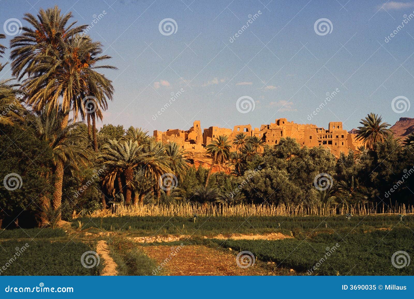 Morocco city skyline stock image. Image of palm, trees - 3690035