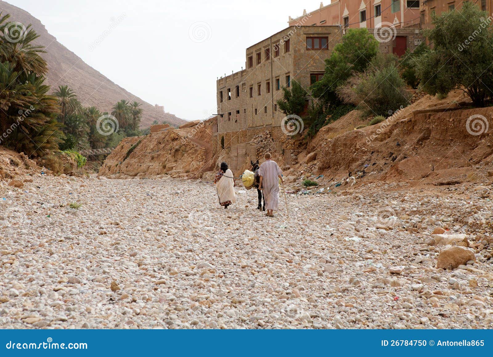 Dry Riverbed Of Wadi Shawka, With Green Vegetation, Grass And Palm ...