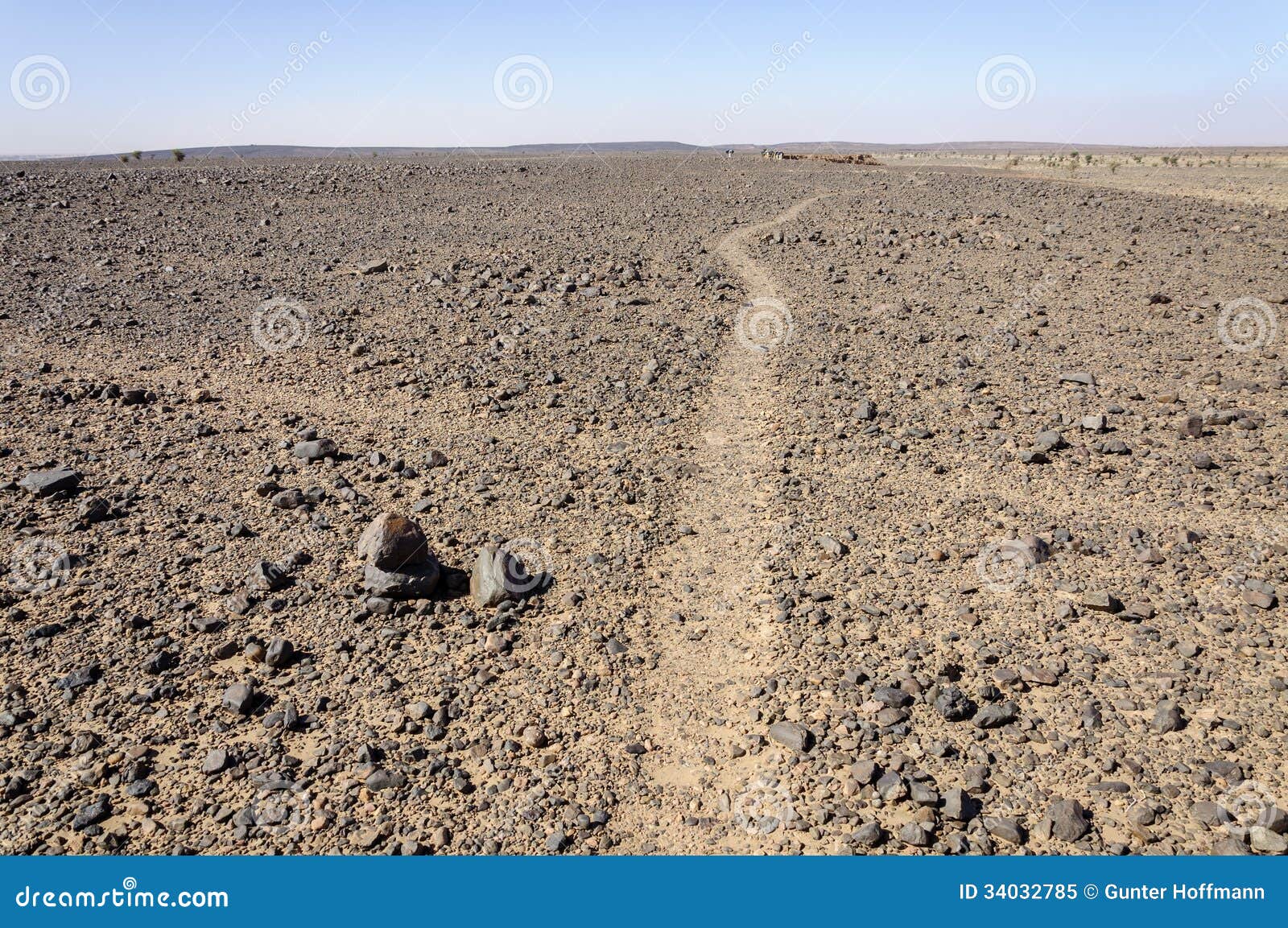 23,014 Path Crossing Photos - Free & Royalty-Free Stock Photos from ...