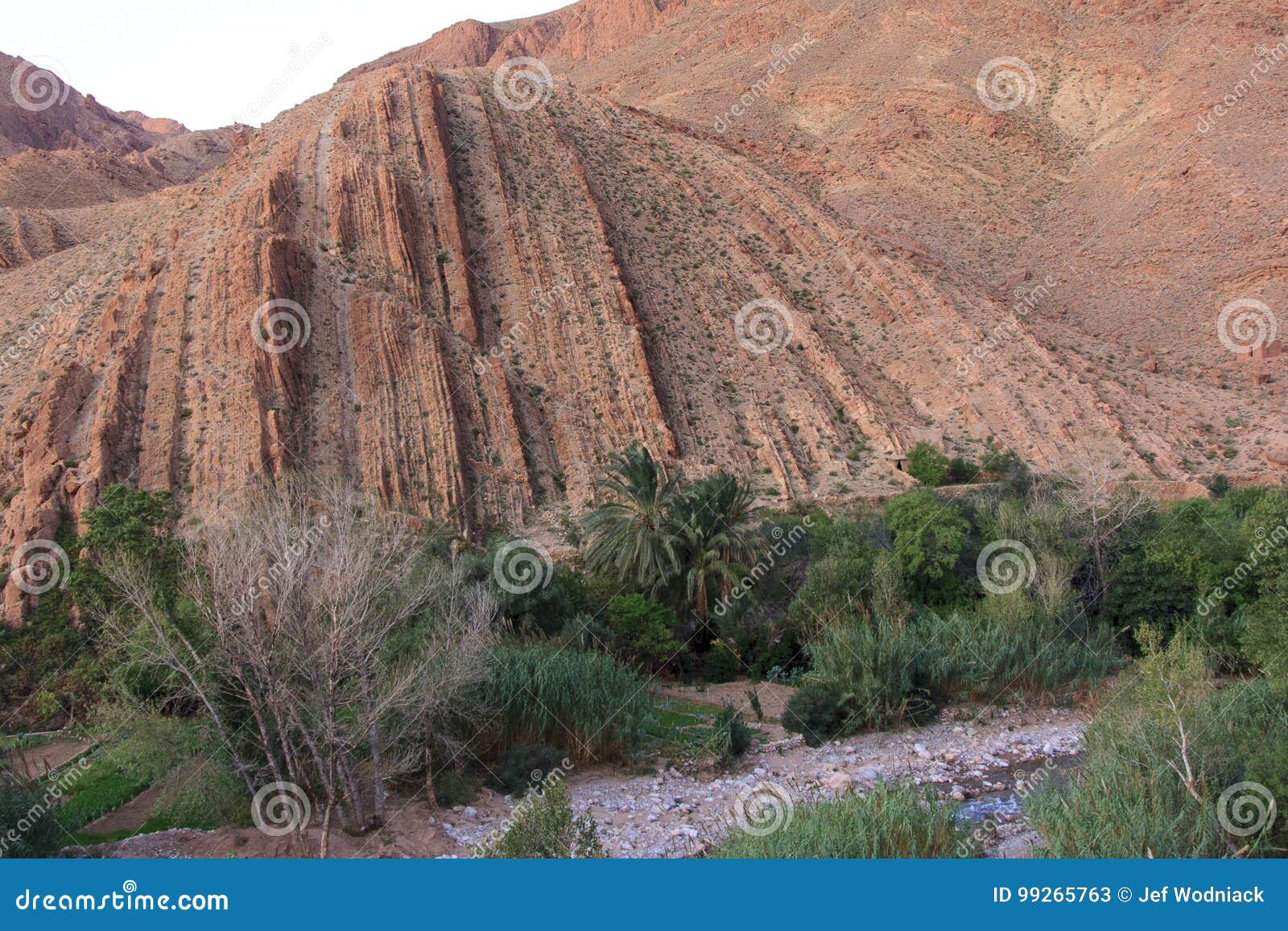 Todgha gorges Morocco stock image. Image of rock, atlas - 99265763