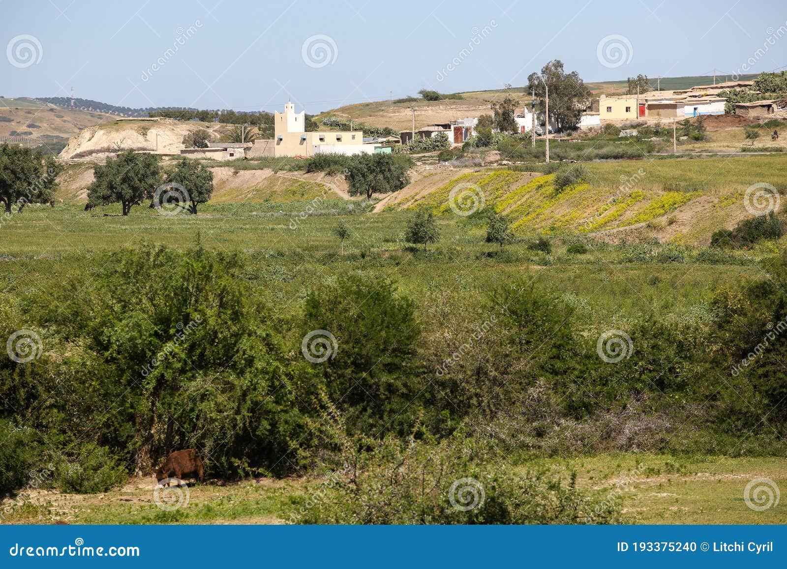 Morocco landscapes stock photo. Image of nature, sunset - 193375240