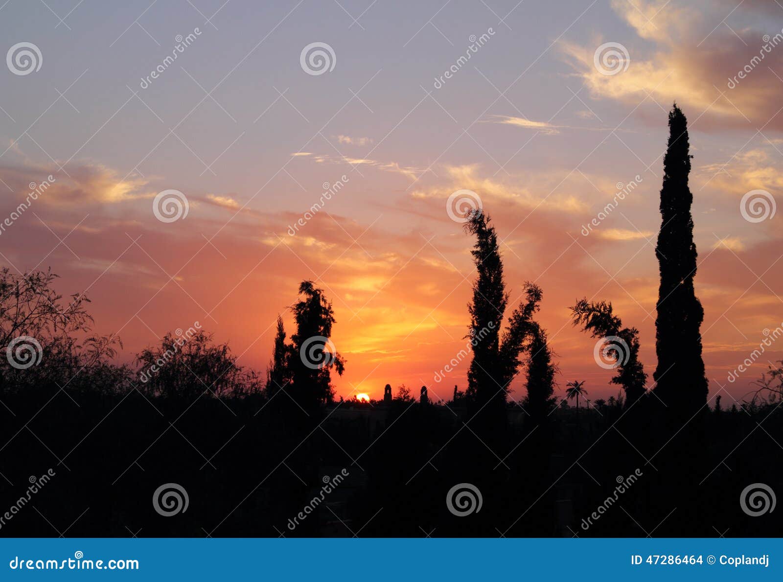 Morocco, Marrakesh, Cypress Trees Against Sunset Backdrop Stock Photo ...