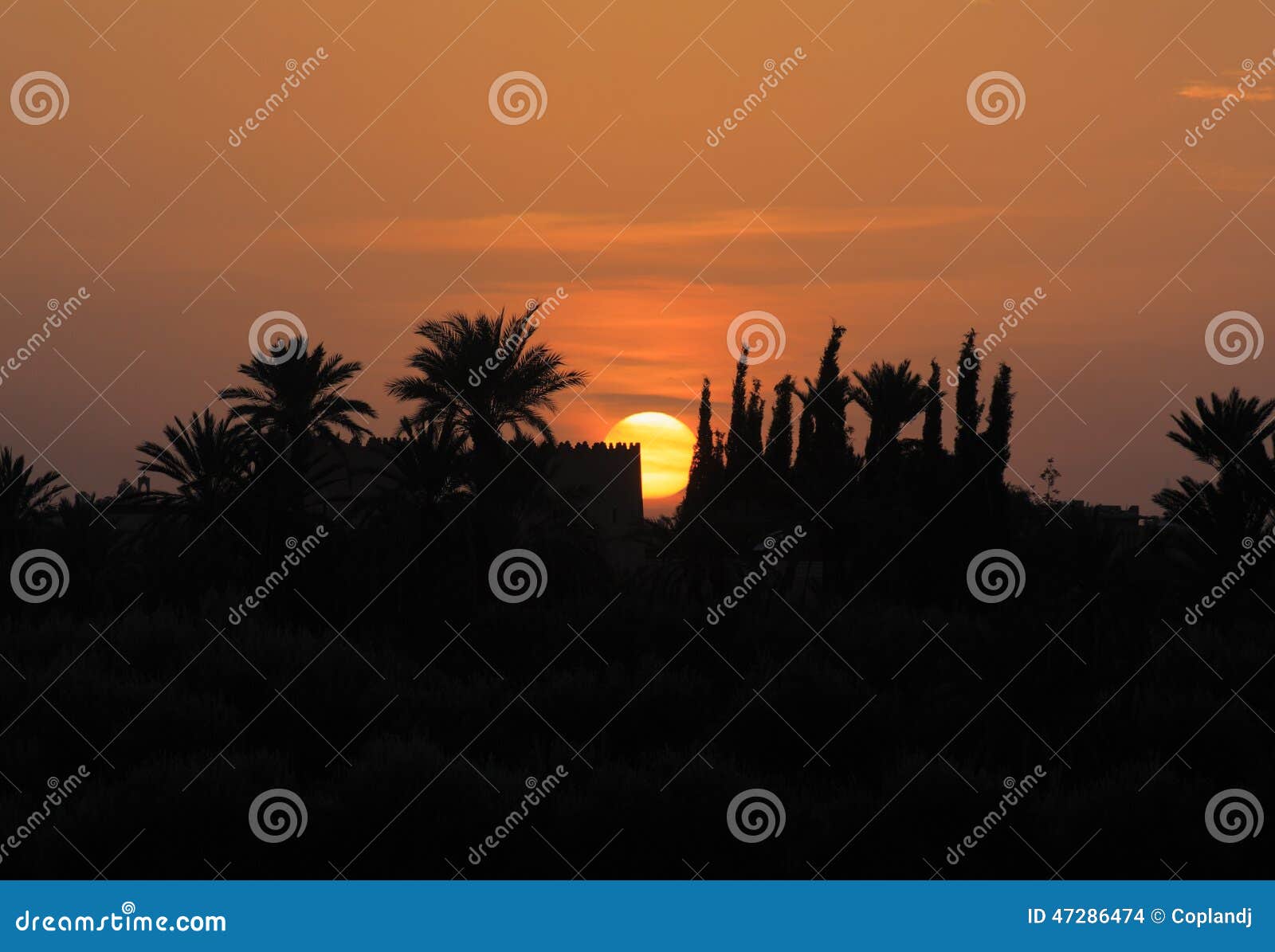 Morocco, Marrakesh, Silhouette of Palm Trees at Sunset. Stock Photo ...