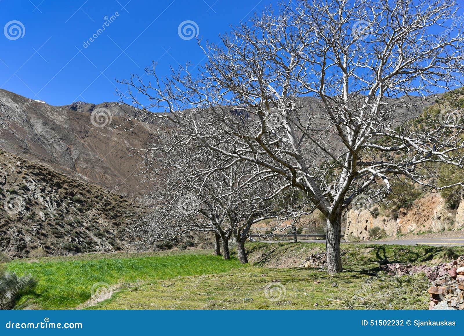 Morocco Nature Early Spring Stock Photo - Image of high, spring: 51502232