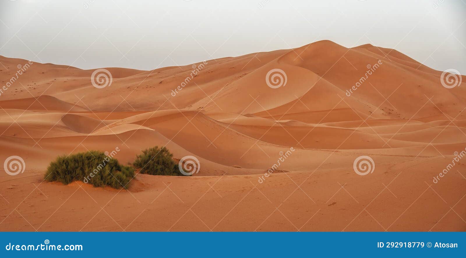 Morocco. Sand Dunes of Sahara Desert Stock Image - Image of africa ...