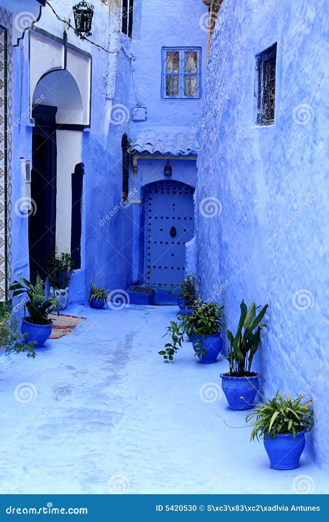 Morocco street stock photo. Image of oriental, holiday - 5420530