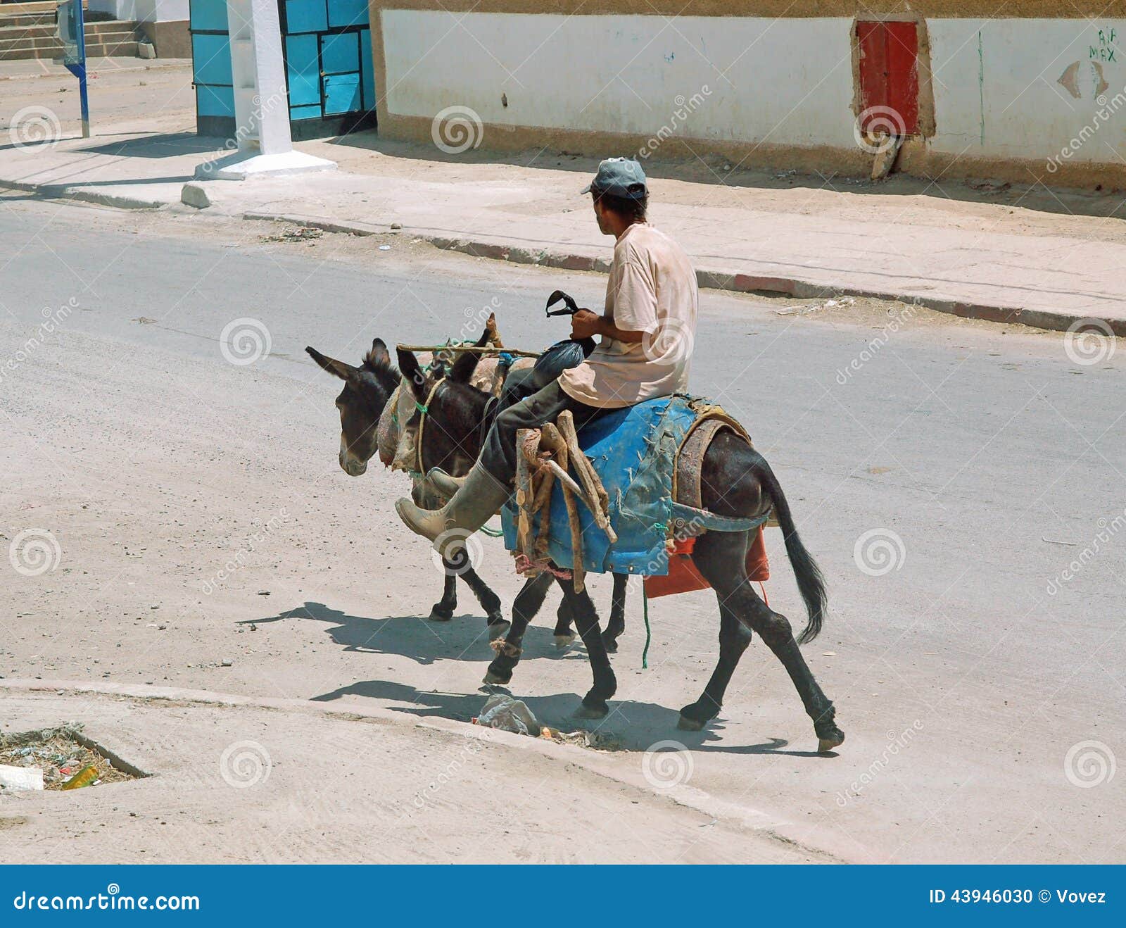 Morocco, Two Donkey and Rider Editorial Image - Image of summer, arabic ...