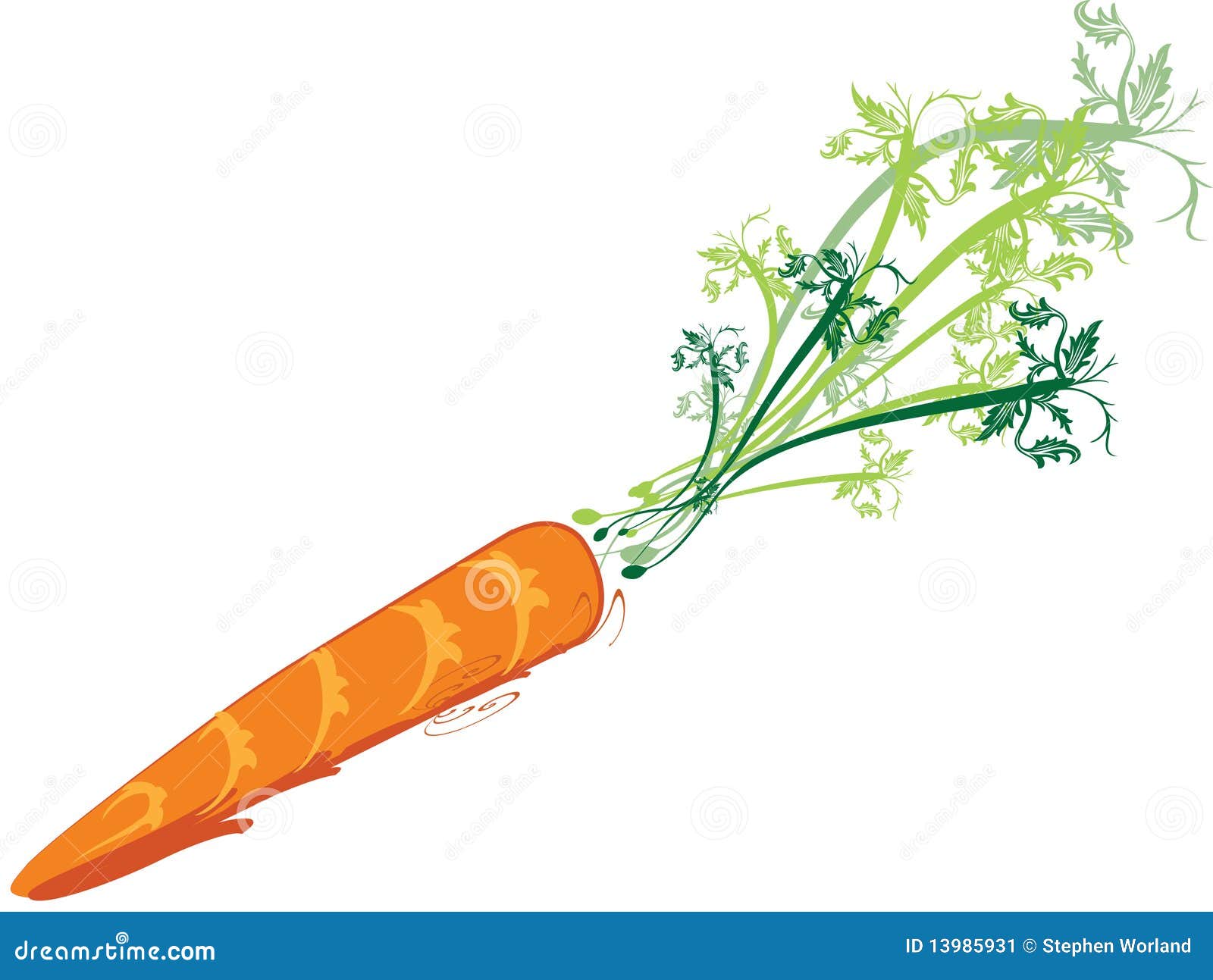 Morot stock illustrationer. Illustration av orange, kock - 13985931