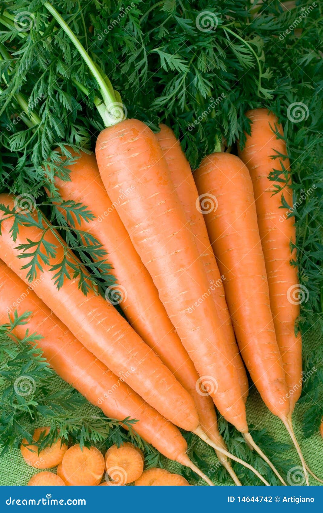 Morot arkivfoto. Bild av morot, livsmedel, växt, rota - 14644742