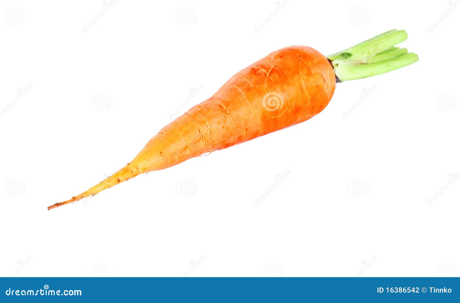 Morot arkivfoto. Bild av bundet, vitamin, matlagning - 16386542