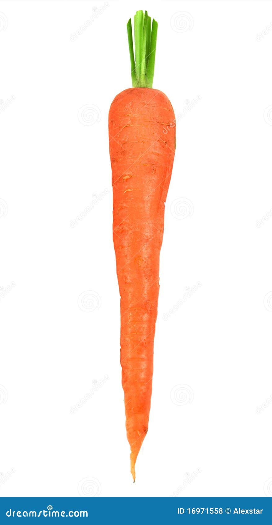 Morot arkivfoto. Bild av kantjustering, grön, gourmet - 16971558