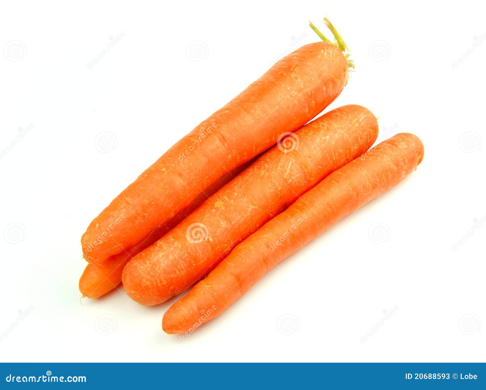 Morot fotografering för bildbyråer. Bild av grönsaker - 20688593