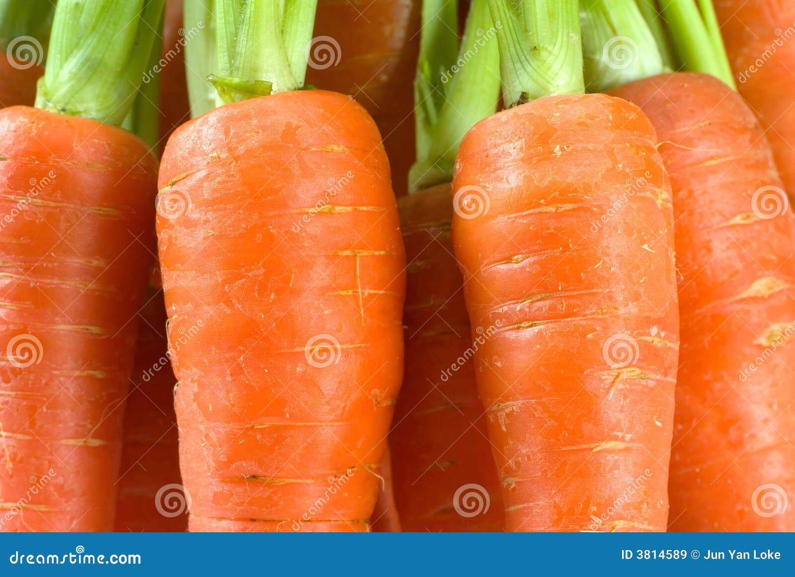 Morot fotografering för bildbyråer. Bild av grönsak, frigörande - 3814589