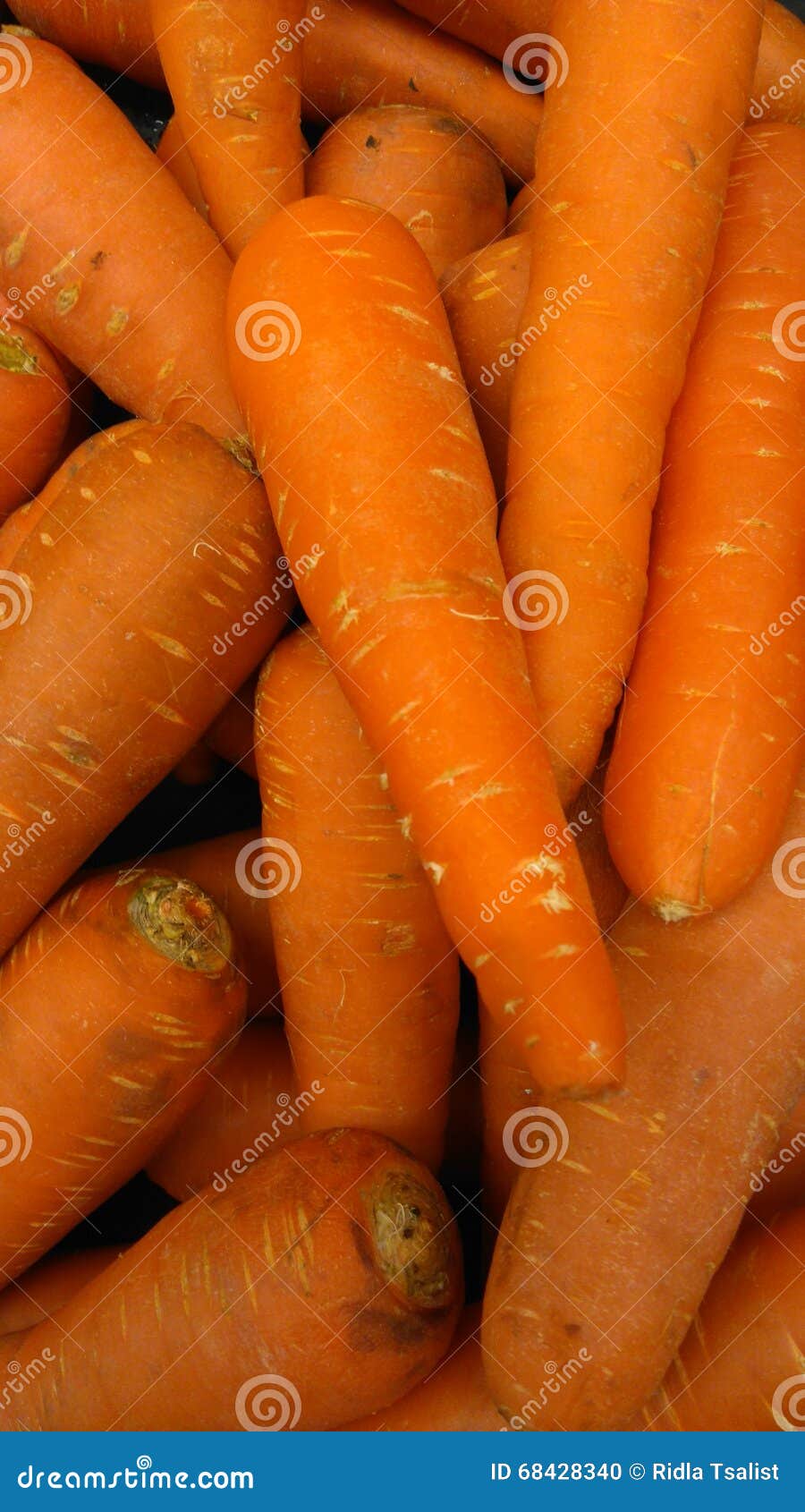 Morot arkivfoto. Bild av marknad, stad, modernt, morot - 68428340