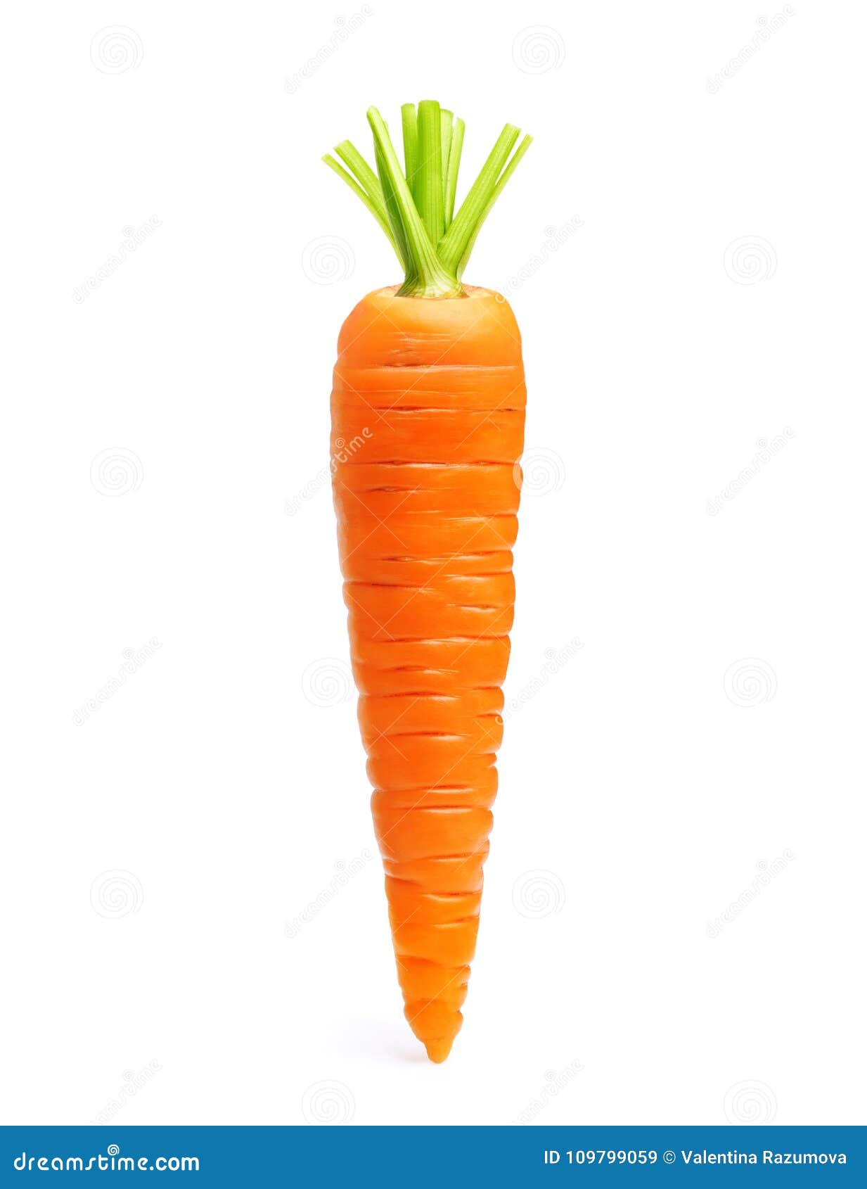 Morot Som Isoleras På White Fotografering för Bildbyråer - Bild av ...