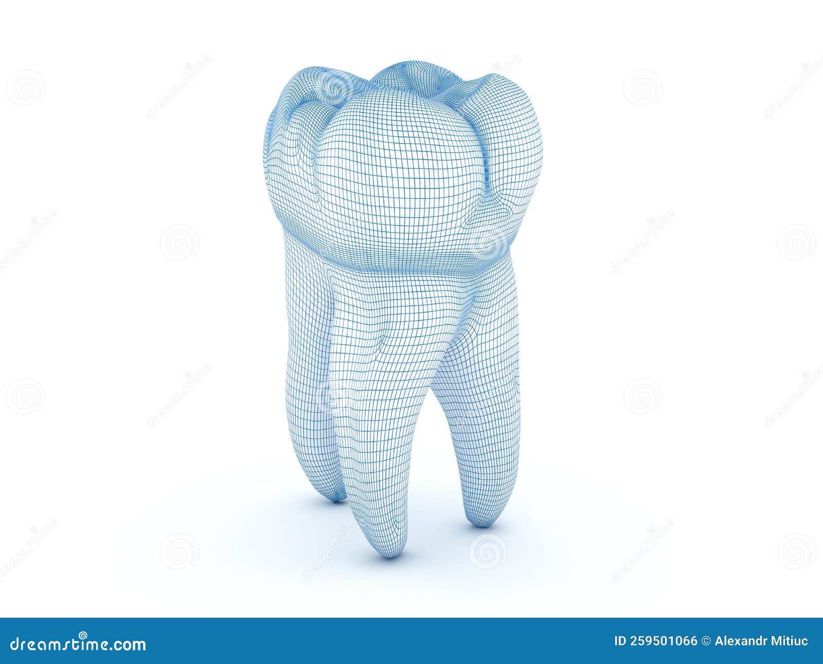 Morphology of First Maxillary Molar Tooth. Wired 3d Illustration Stock ...