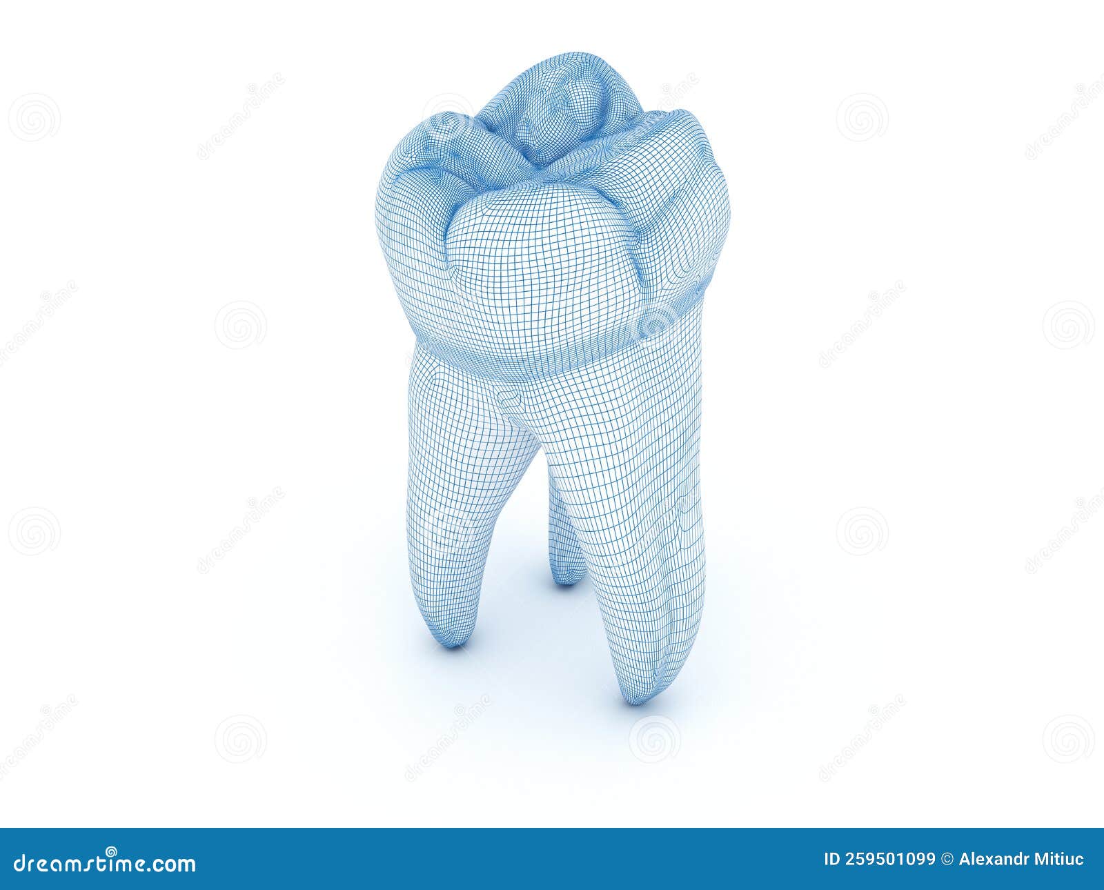 Morphology of First Maxillary Molar Tooth. Wired 3d Illustration Stock ...