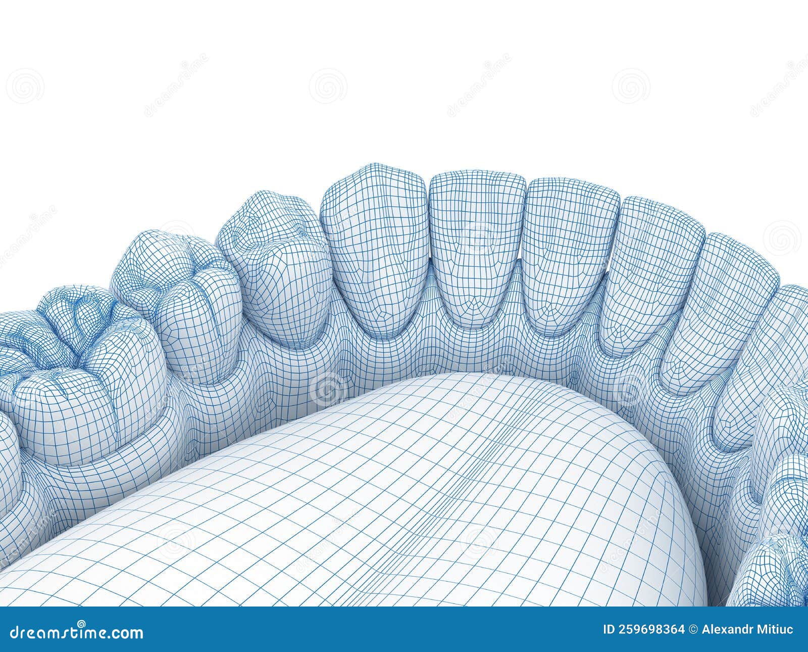 Morphology Of Mandibular Teeth. Wire 3d Model Illustration ...