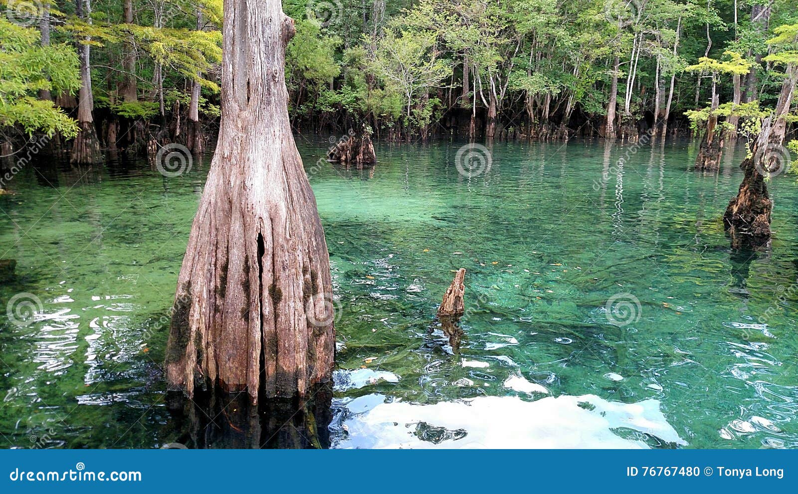 Morrison Springs stock photo. Image of springs, ponce - 76767480