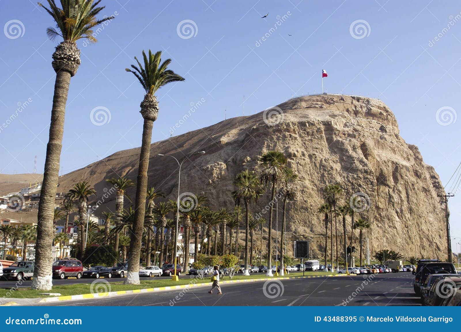 Morro de Arica, Chili image éditorial. Image du ville - 43488395