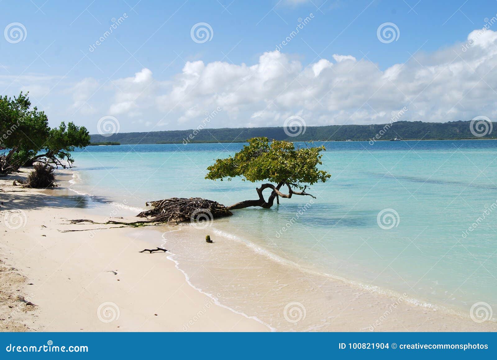 Morrocoy Beach Picture. Image: 100821904