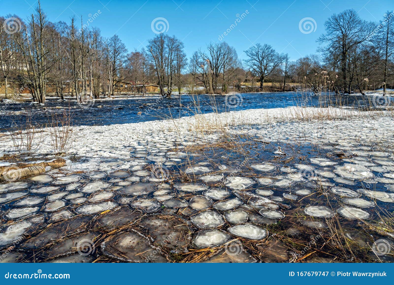 Morrum river coast stock image. Image of blue, natural - 167679747