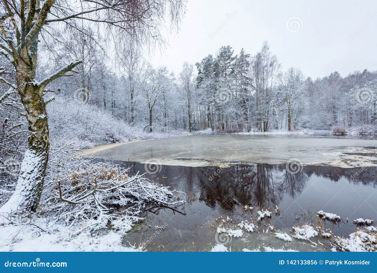 Morrum River in Snowy Winter Scenery, Sweden Stock Photo - Image of ...