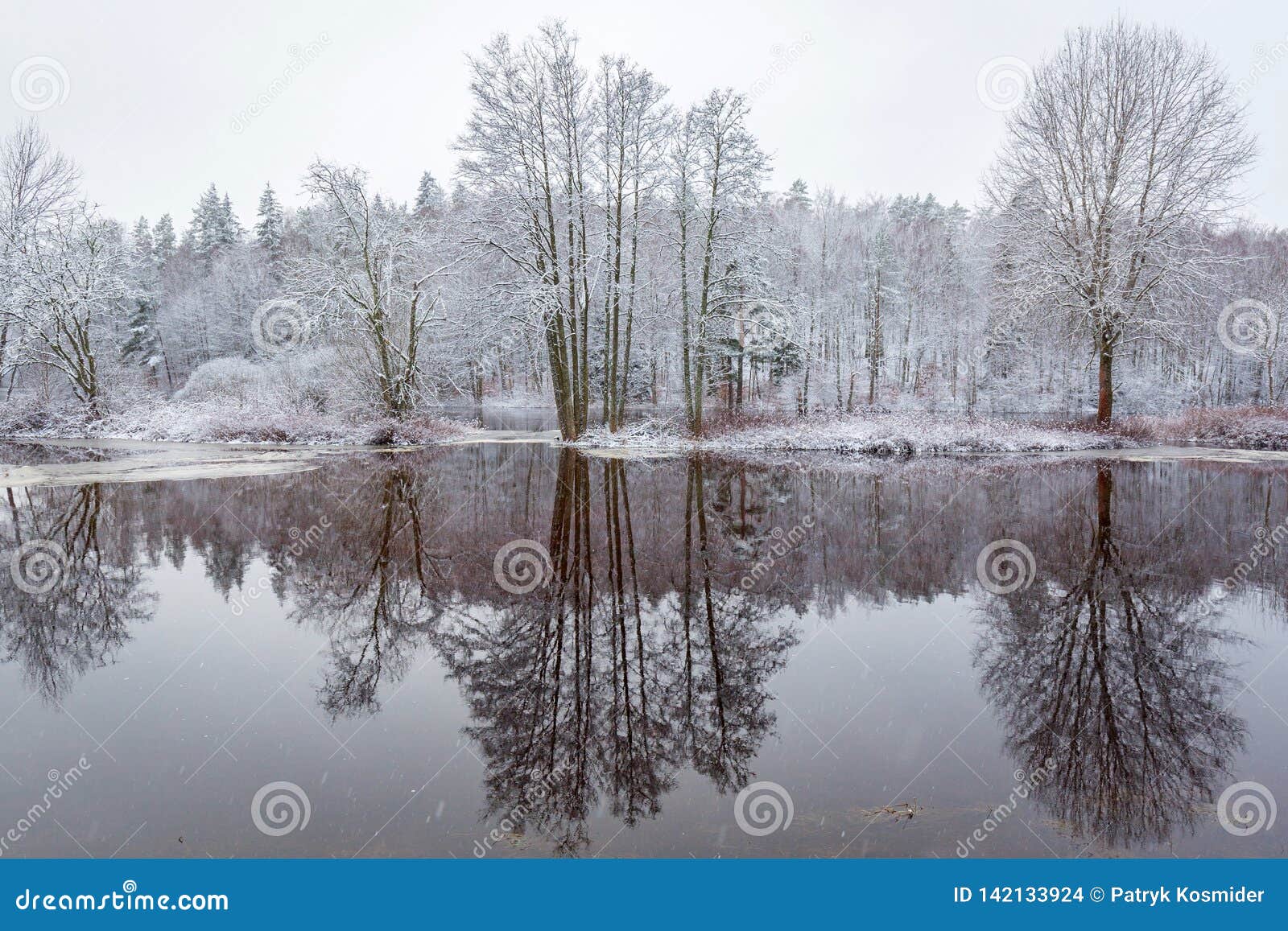 Morrum River in Snowy Winter Scenery, Sweden Stock Photo - Image of ...