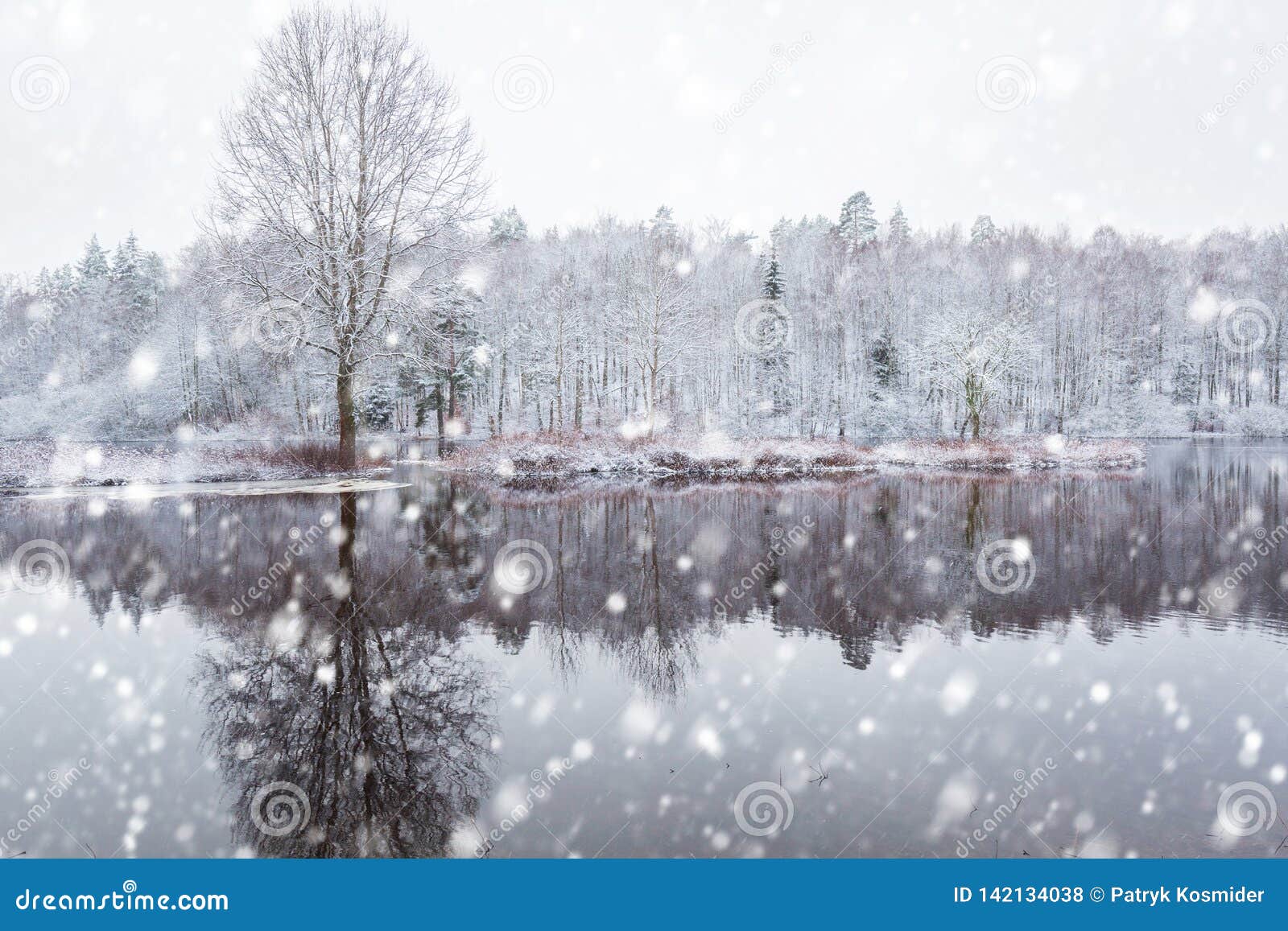 Morrum River in Snowy Winter Scenery, Sweden Stock Photo - Image of ...