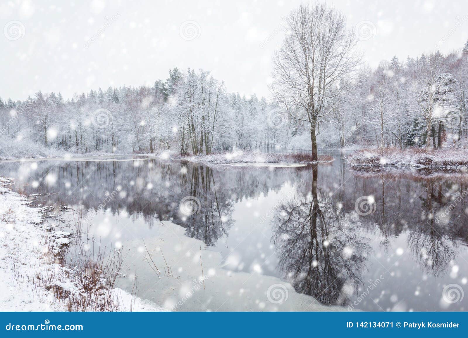 Morrum River in Snowy Winter Scenery, Sweden Stock Image - Image of ...