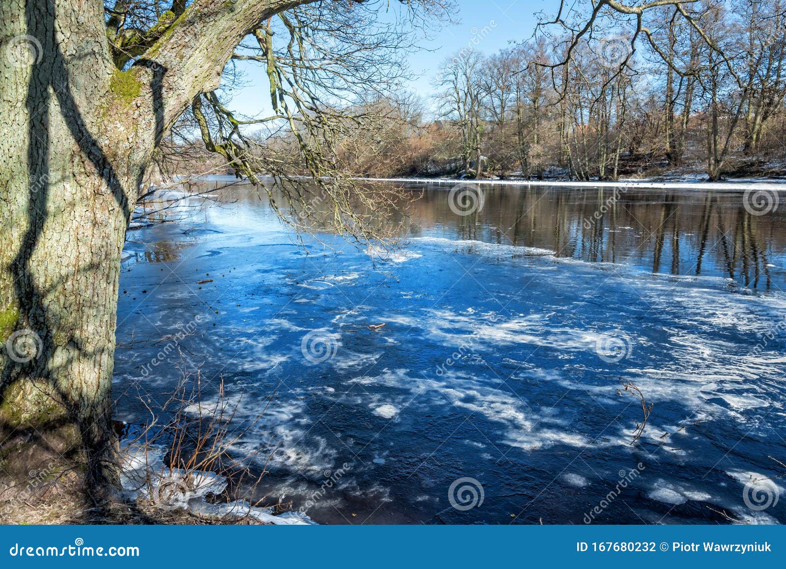 Morrum river in March stock photo. Image of snow, morrum - 167680232
