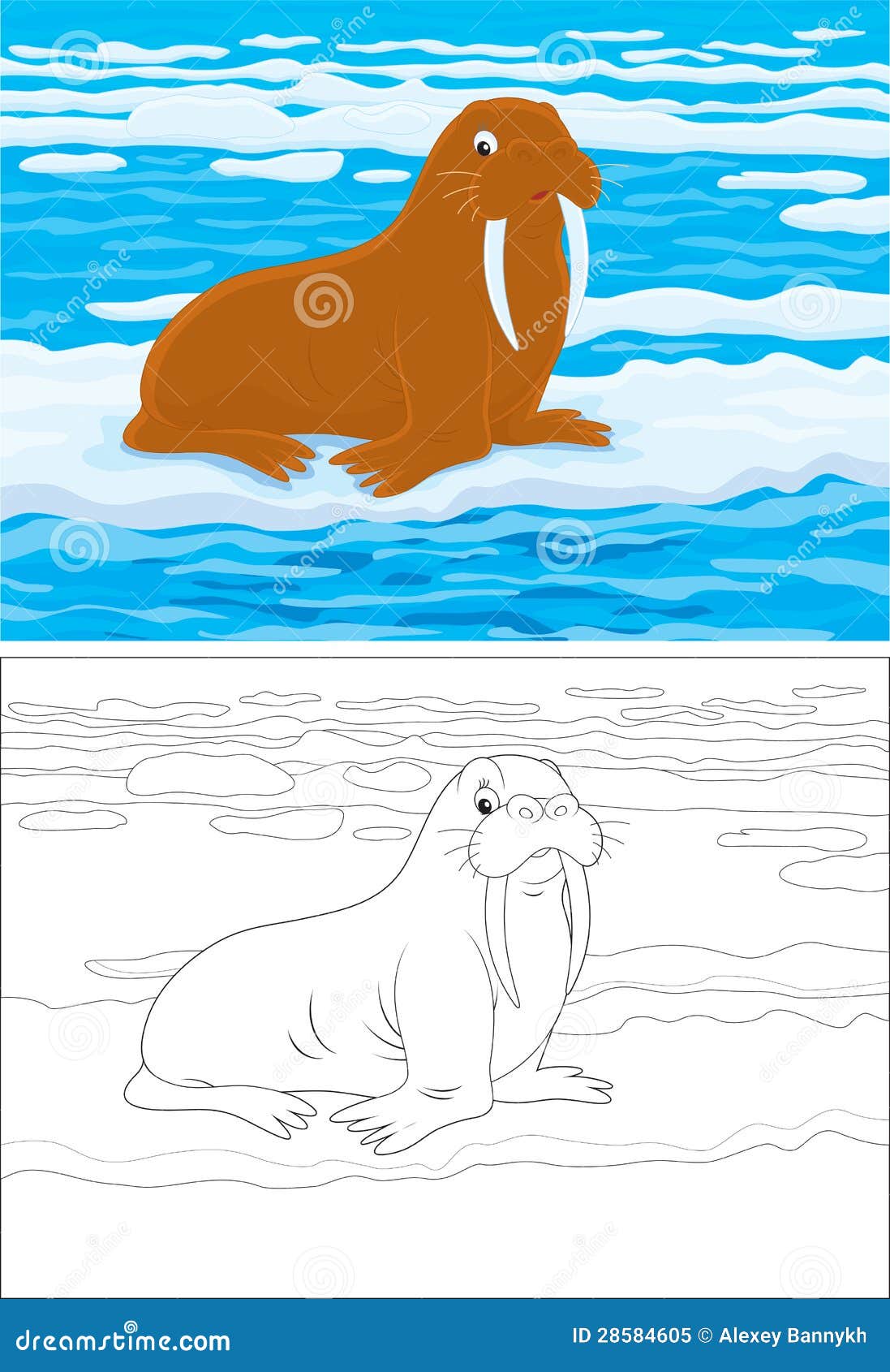 Morsa ilustración del vector. Ilustración de vaca, animal - 28584605